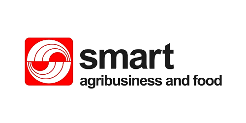 PT Smart | Solutions Implemented | References Portfolio